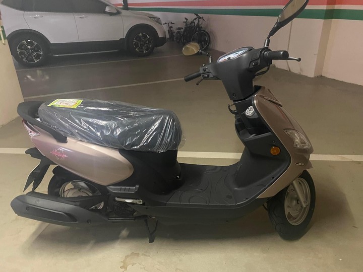 SYM WOO淺棕開箱 - Mobile01